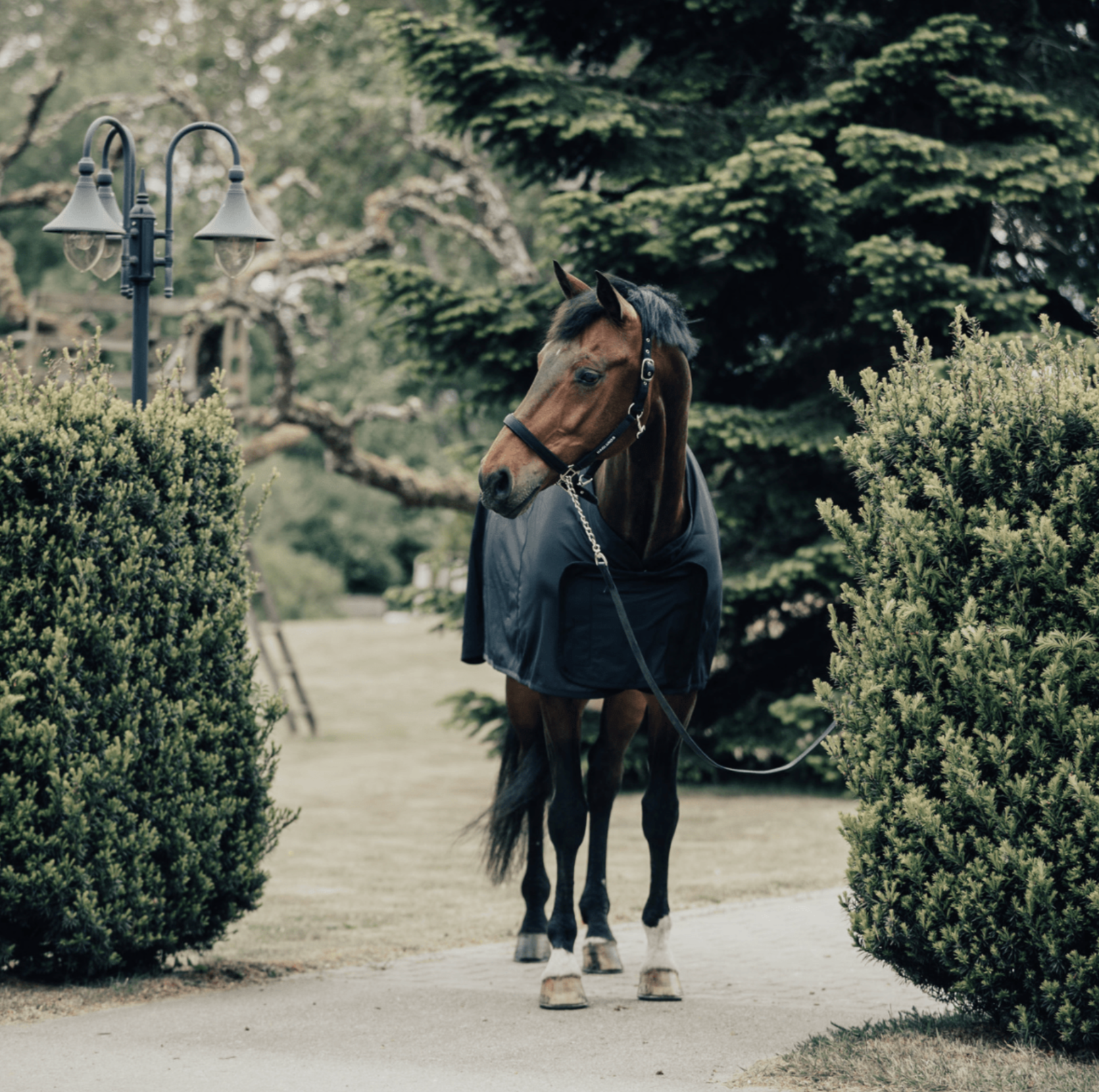 Haglunds – Cavallan AB